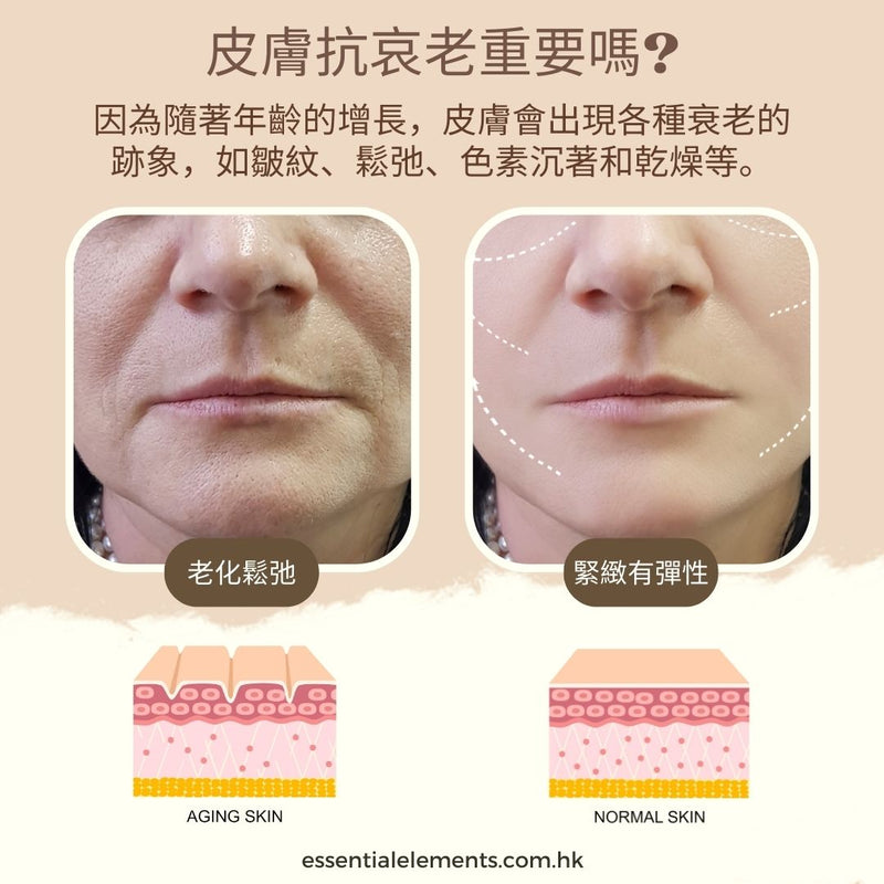 DMAE 全能提拉精華 15毫升 - 美國 – Essential Elements