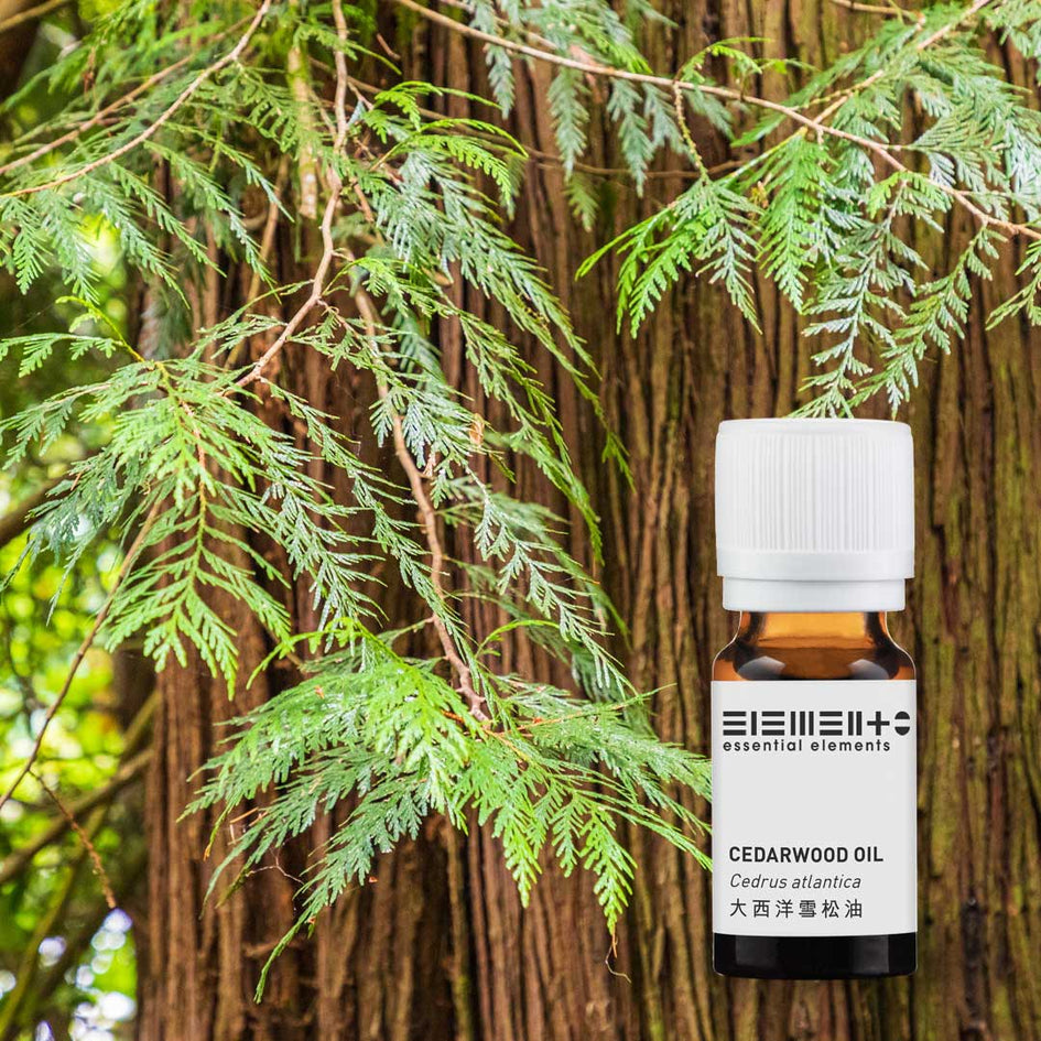 DIY護膚品精油應用 DIY Skincare Essential Oils Guide – Essential Elements