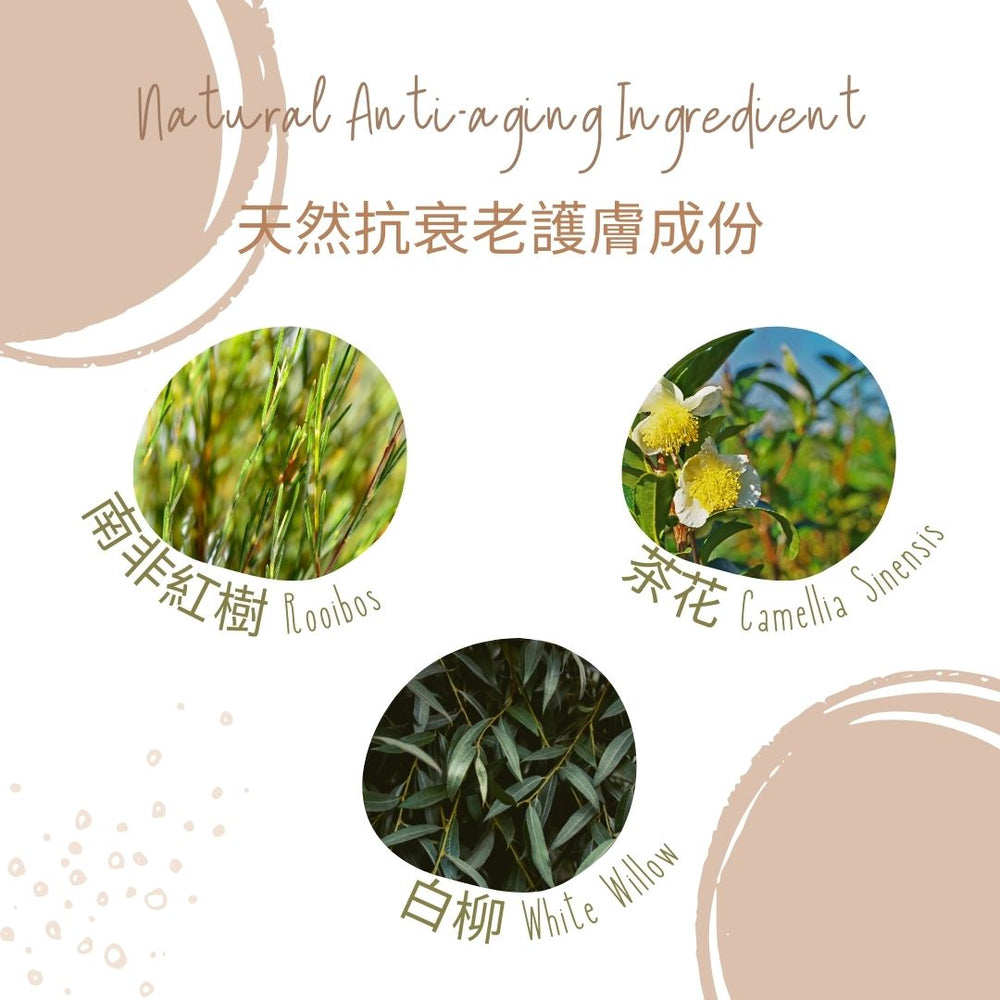 DMAE 全能提拉精華 15毫升 - 美國 – Essential Elements